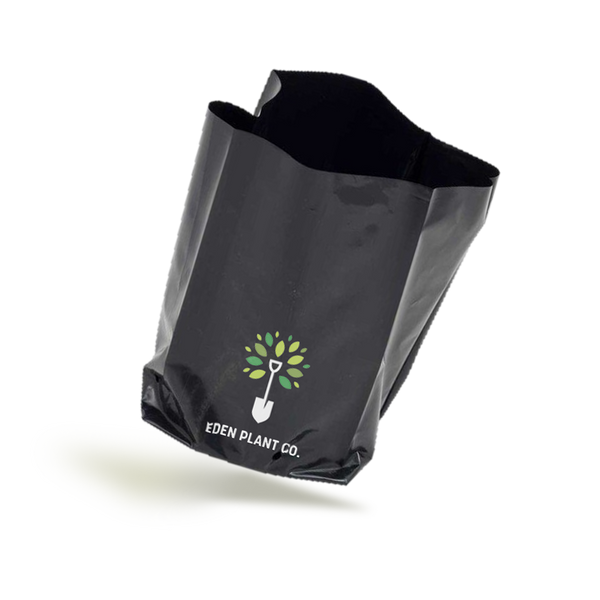 Custom POLLAST!C 100% Recycled Bags - Better Packaging Co