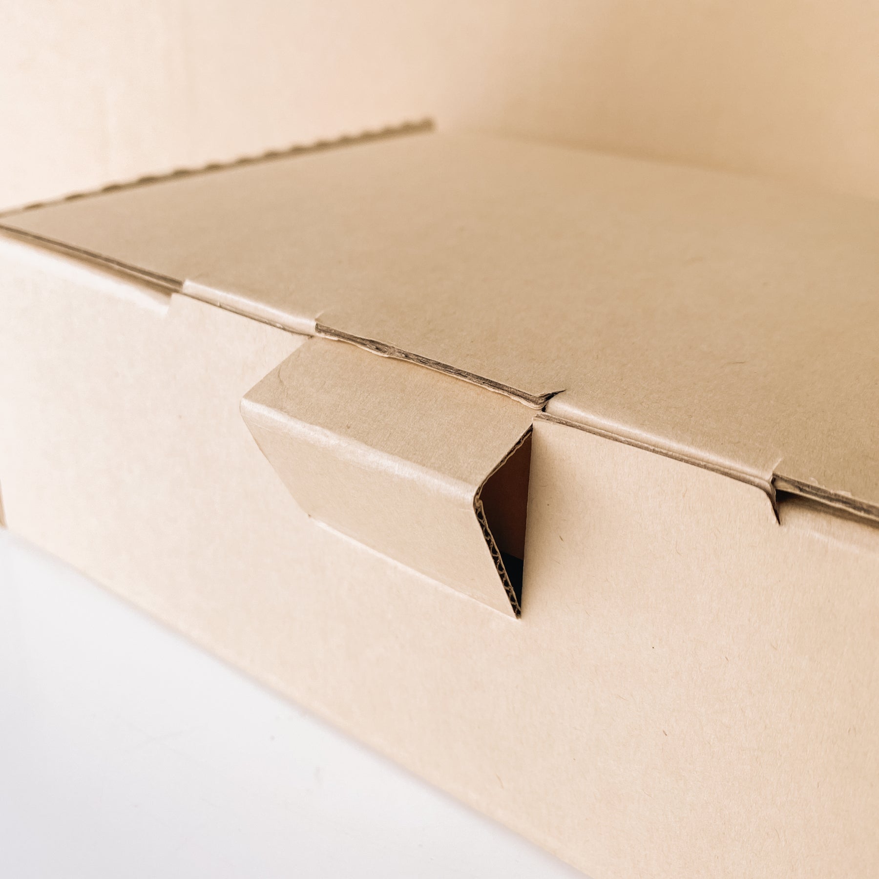 What is Bamboo Packaging - Better Packaging Co