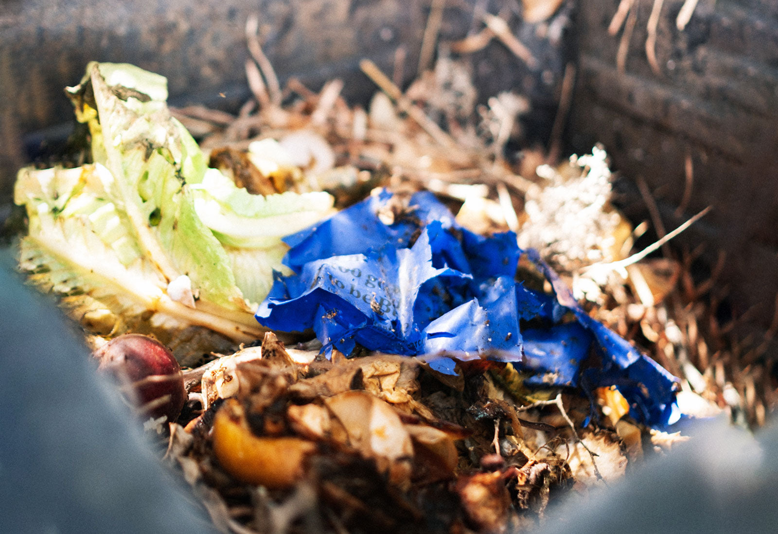 What is Compostable Packaging - Better Packaging Co